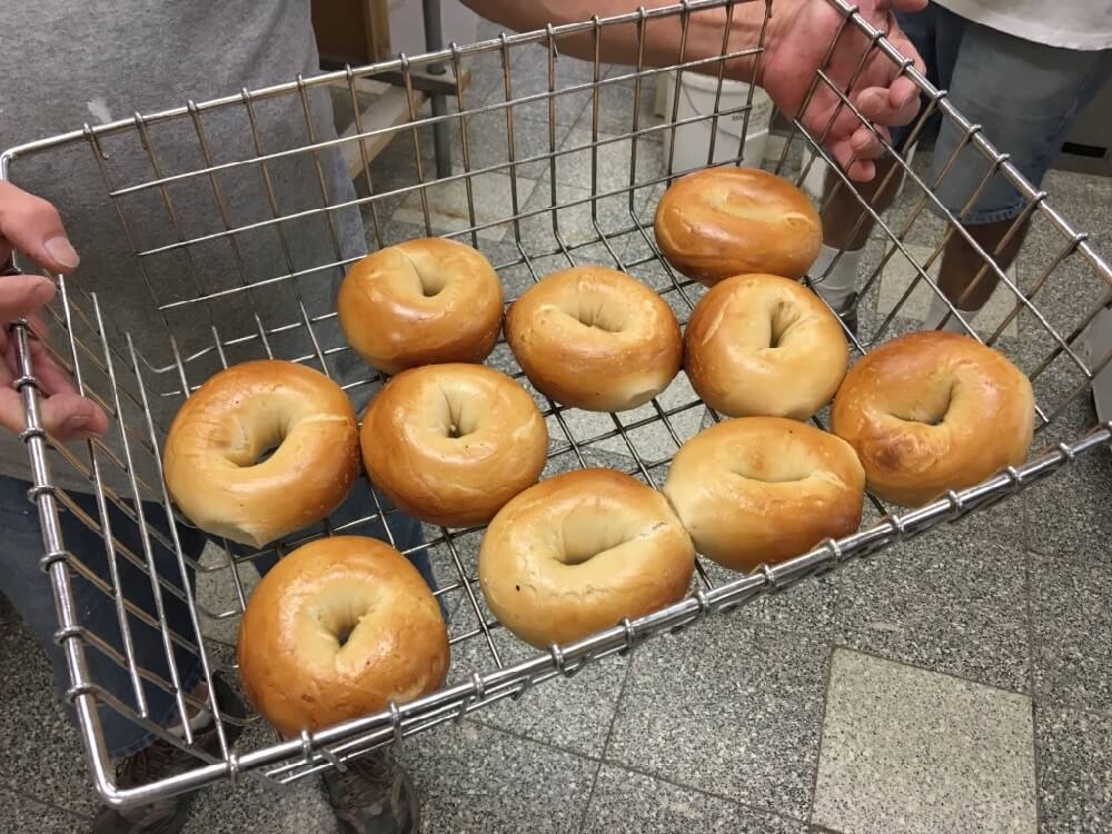 Balsam Bagels - PlantiePops