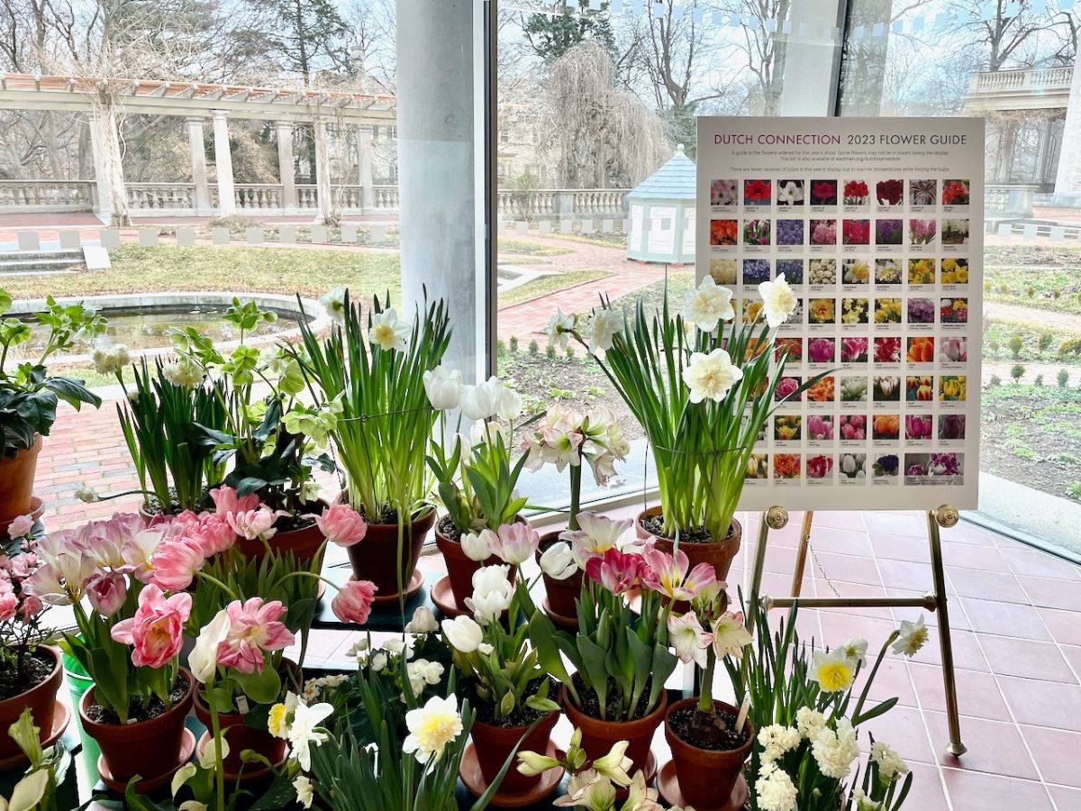 Dutch Connection at the Eastman Museum