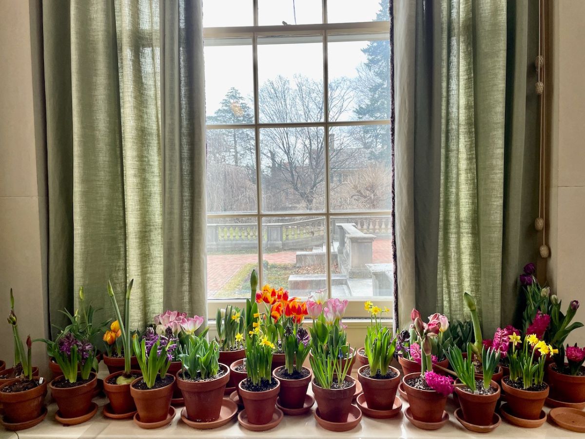 Dutch Connection at the Eastman Museum