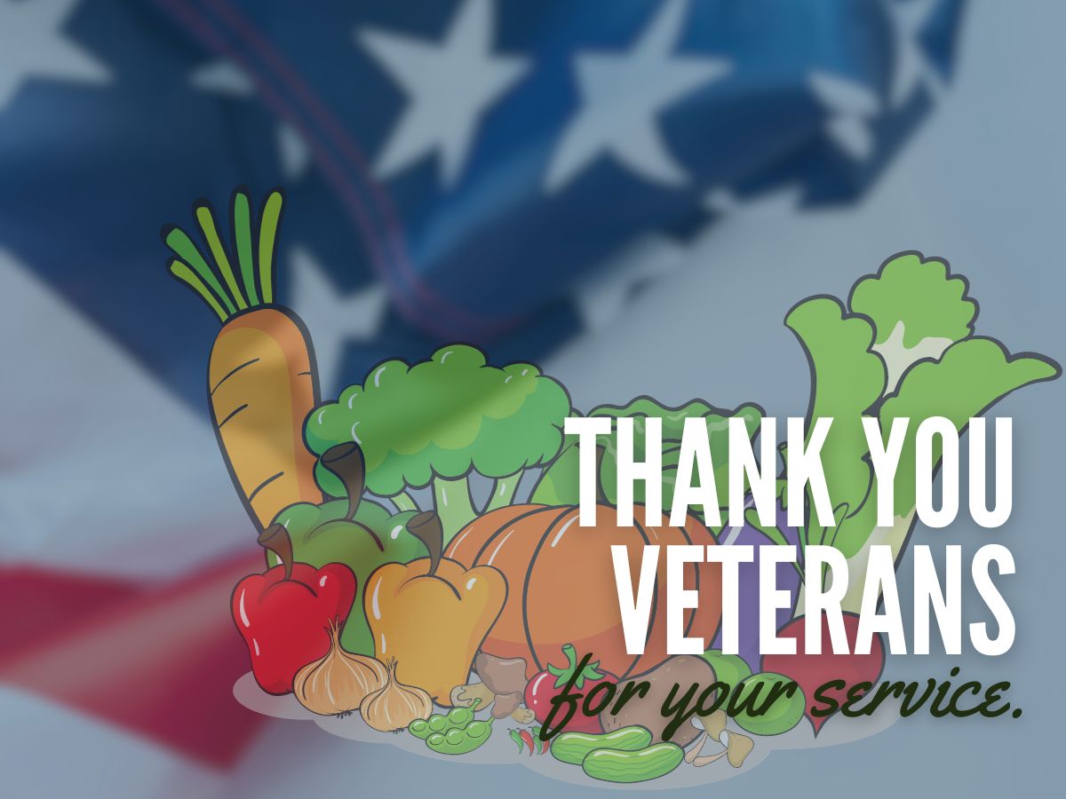 Supporting Our Veterans on Veterans Day